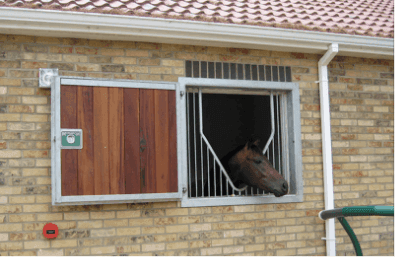 Stable Windows | Monarch Equestrian | Top Doors & External Windows