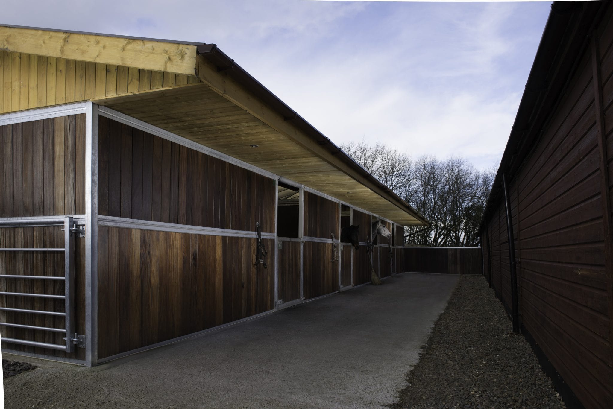 Monarch Equestrian | Stylish Back-to-Back Barn Designs For Horses