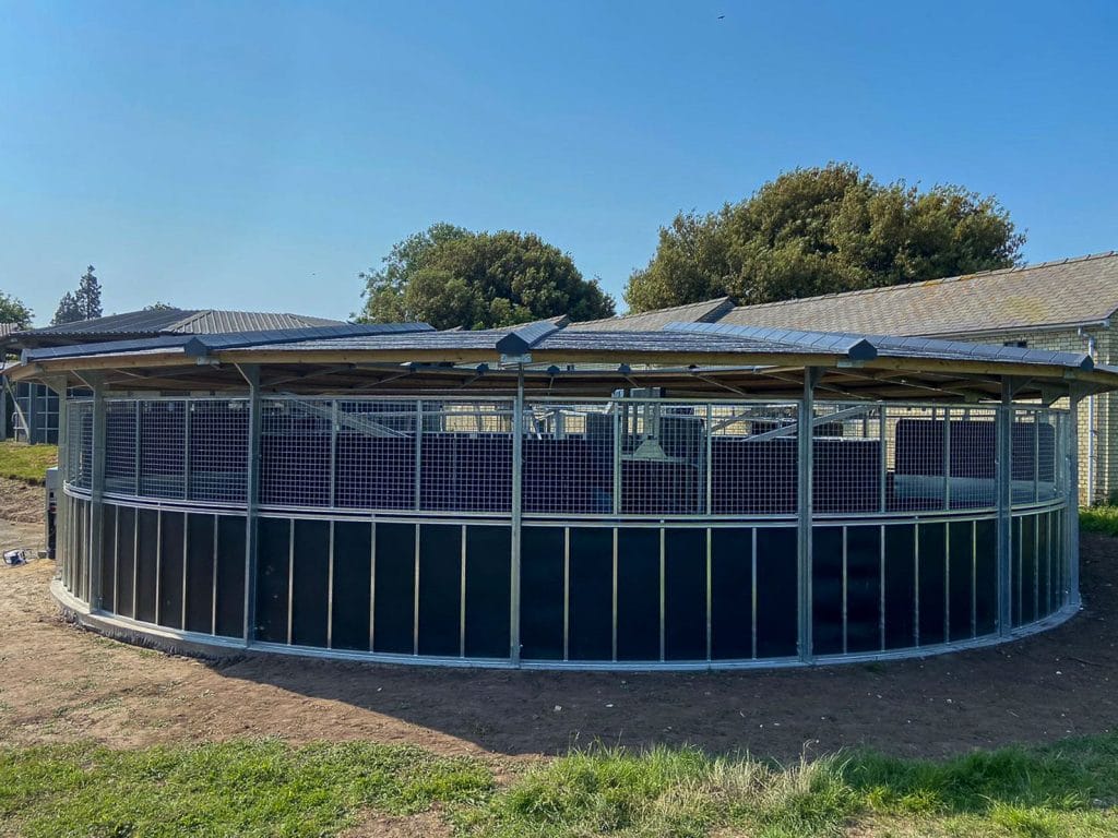 The Sovereign Plus | Monarch Equestrian | Horse Exerciser