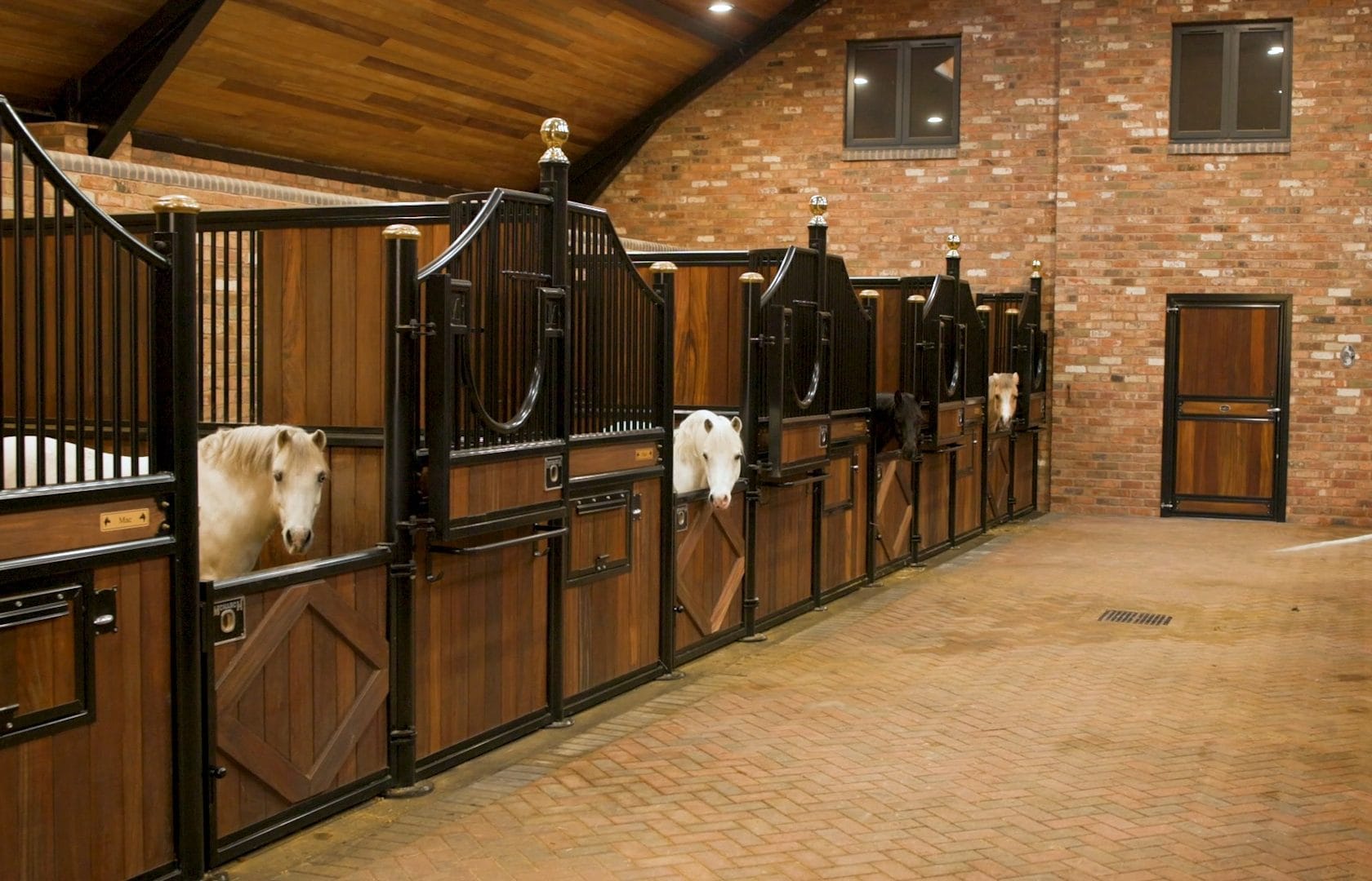 Yard Tour With Mia Bella And Ponies | Monarch Equestrian