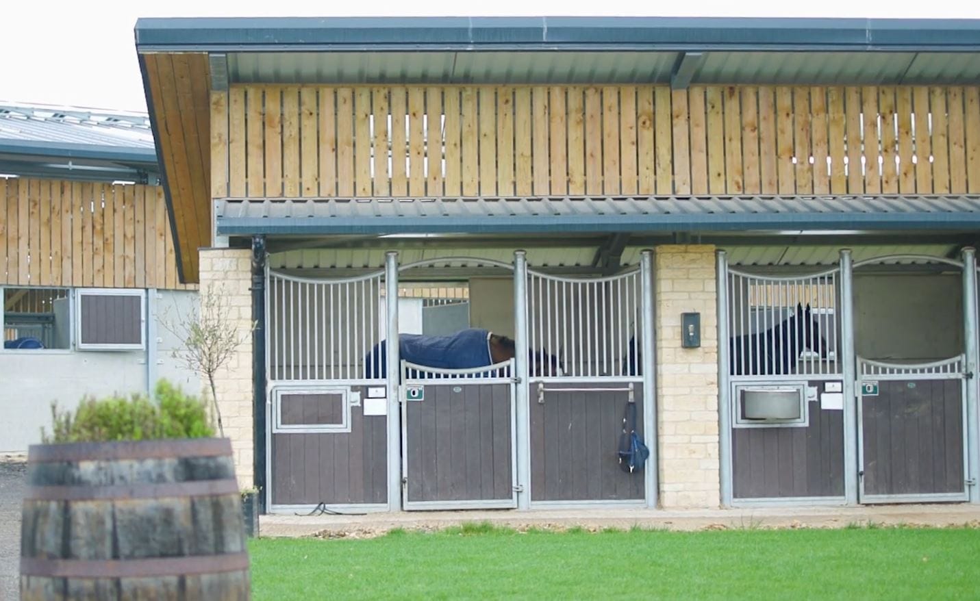 Ben Pauling Racing | Monarch Equestrian